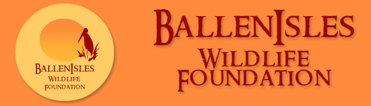 Biography – Zen-K9